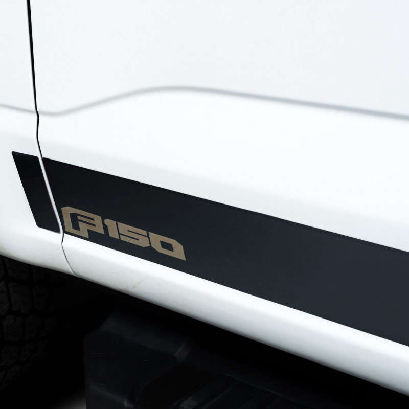 Putco 9751469BPFD-PUT Black Platinum F-150 Logo Rocker Panels Kit ...