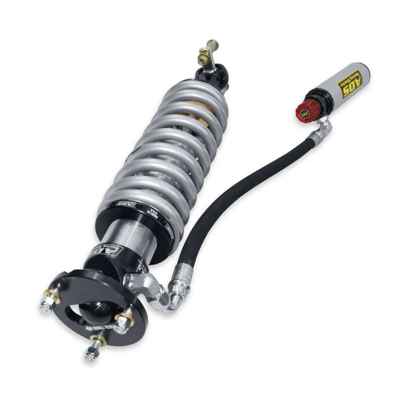ADS Struts/Shocks for | 250-19RNF-A00-AD | Custom Offsets
