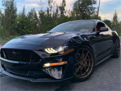 Mustang | Custom Offsets
