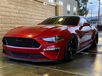 Mustang | Custom Offsets