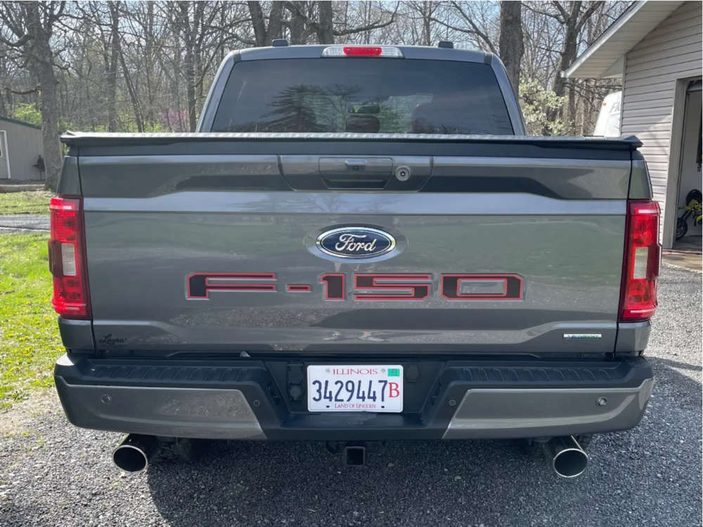 2021 Ford F-150 with 17x8.5 10 DX4 Rebel and 265/65R17 Dick Cepek Trail ...