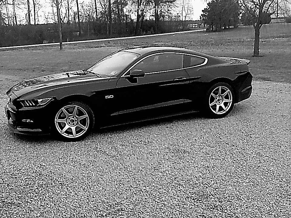 2017 Ford Mustang with 19x10 35 SVE R350 and 255/40R19 Michelin Pilot ...